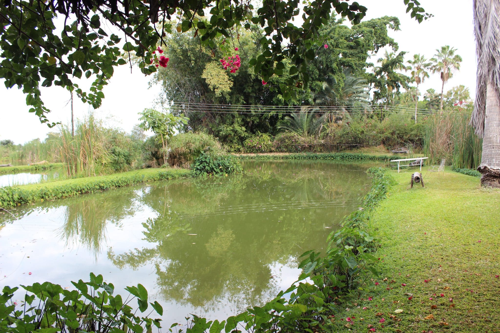 Kariba Bream Farm - Heartveld Adventures