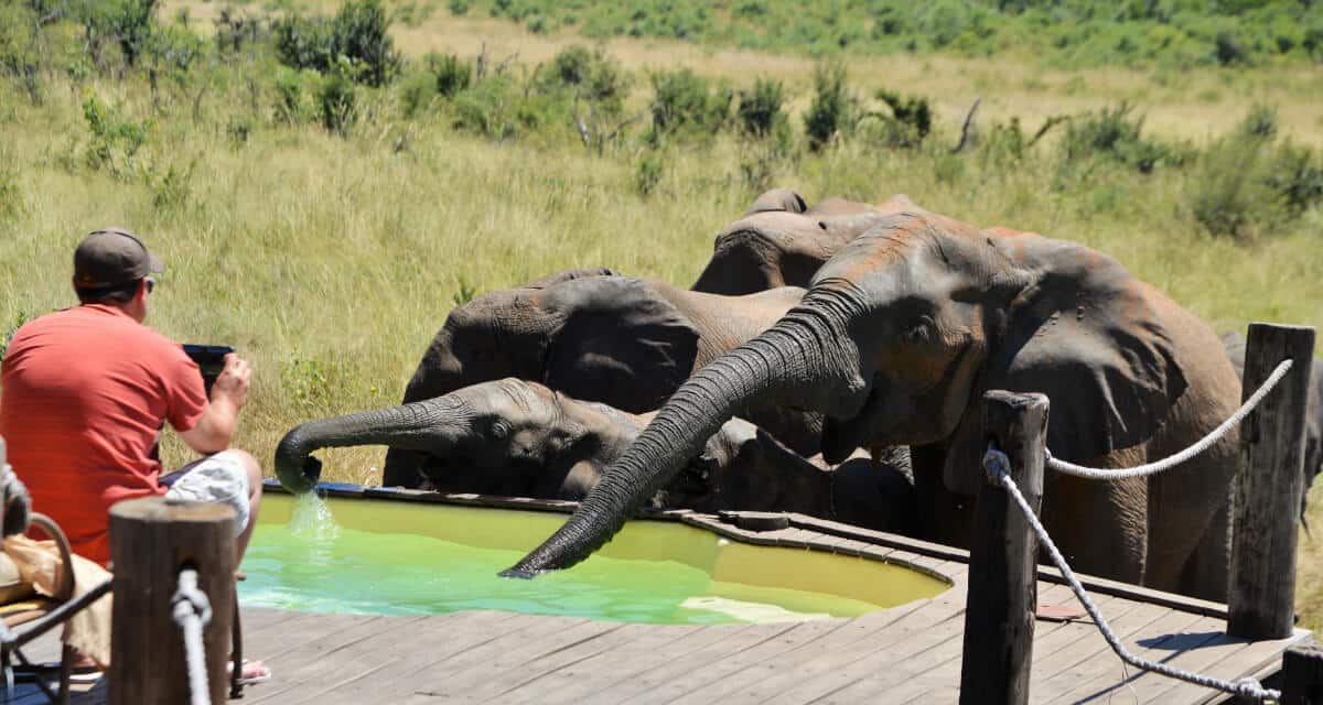 Chengeta Safari Lodge - Heartveld Adventures