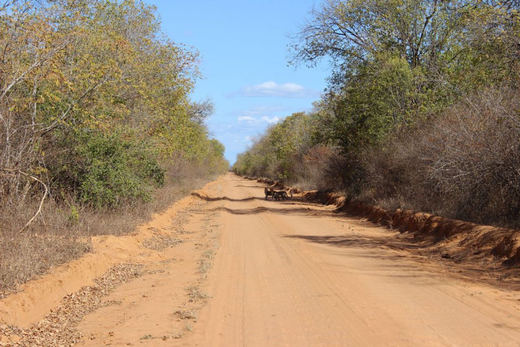 Getting to know Mana Pools - Mwinilunga & Kavinga - Heartveld Adventures