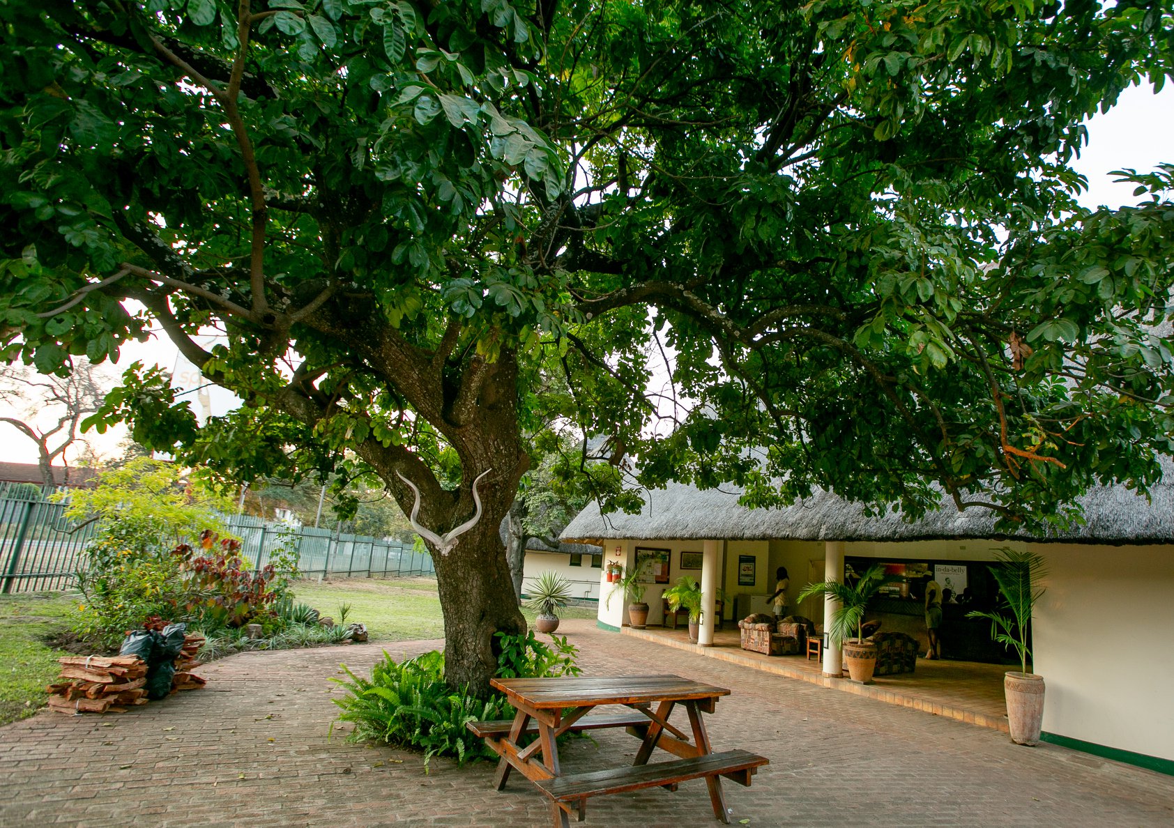 Chengeta Safari Lodge - Heartveld Adventures