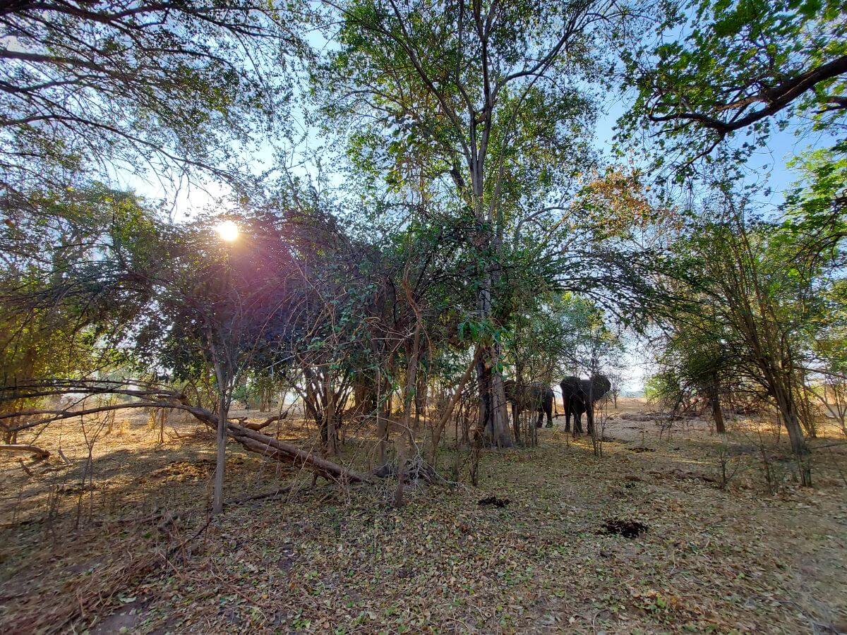 Rukuru Bush Camp - Heartveld Adventures