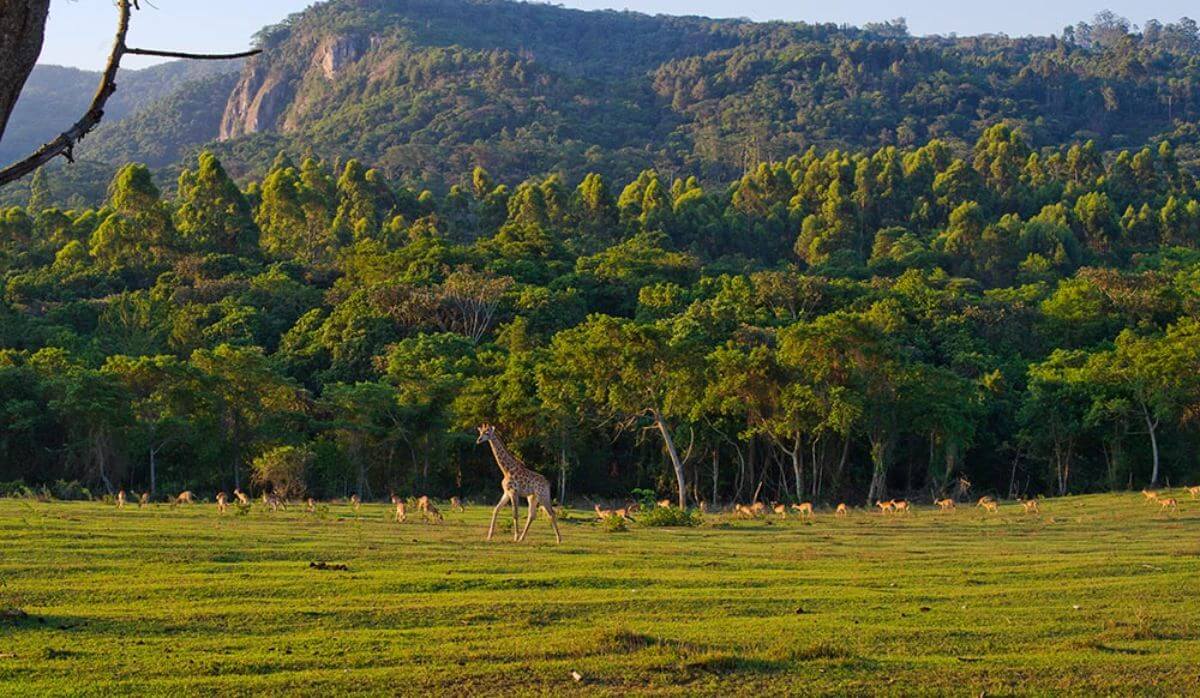 Leopard Rock Golf Resort & Hotel - Heartveld Adventures