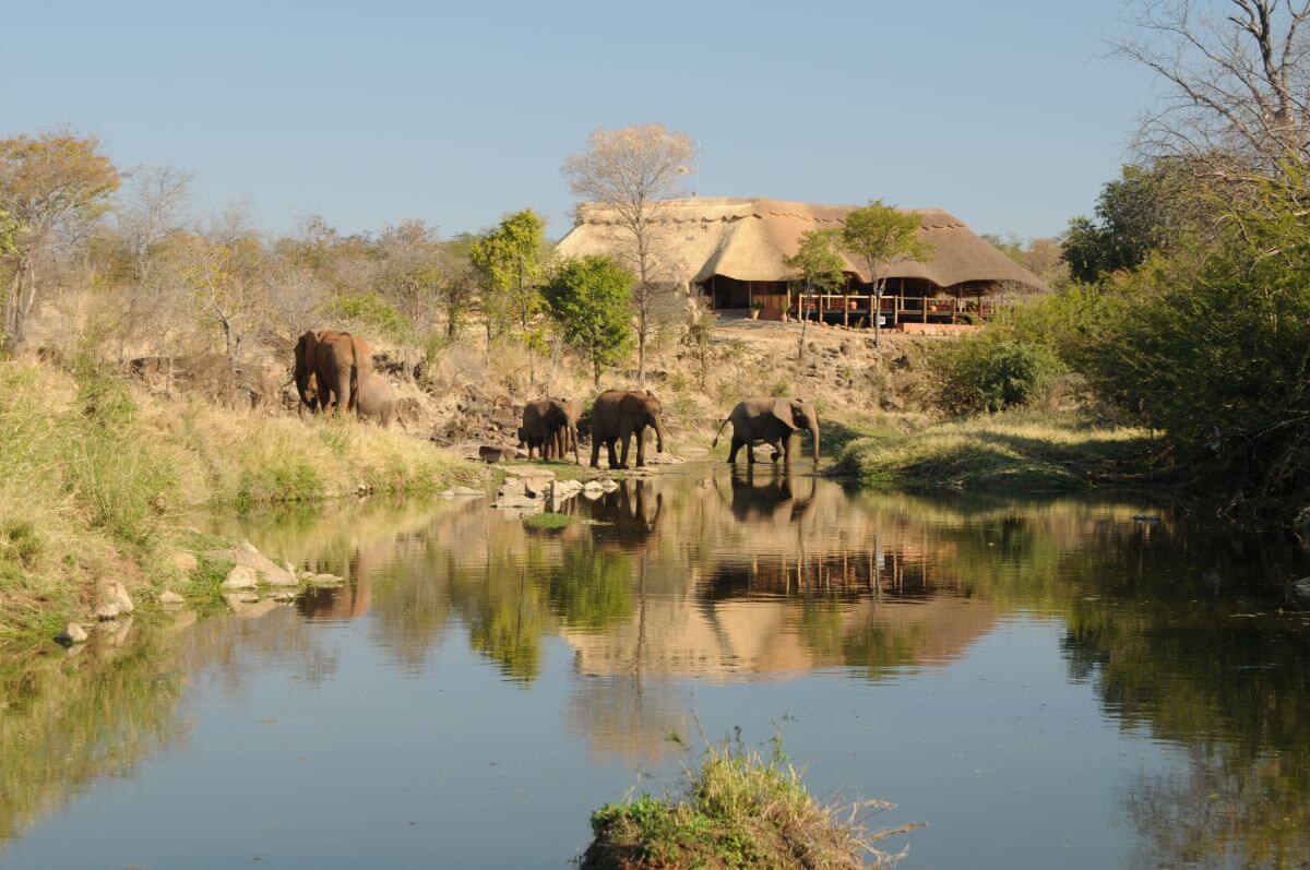 Chengeta Safari Lodge - Heartveld Adventures