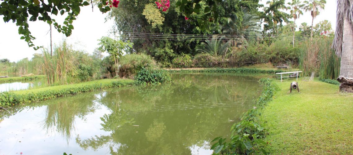 Kariba Bream Farm - Heartveld Adventures