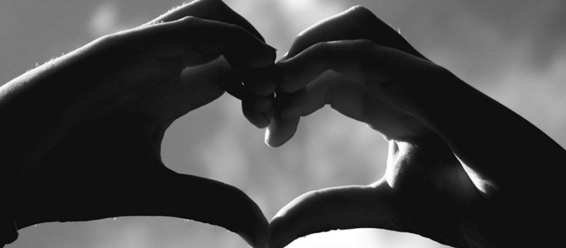 Tony Waite Organisation & Kariba Animal Welfare Fund Trust - Heartveld ...